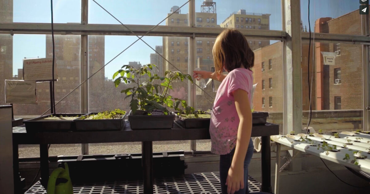 Short Films, Feature Lengths, and Broadcast Spots | Vignette Creative